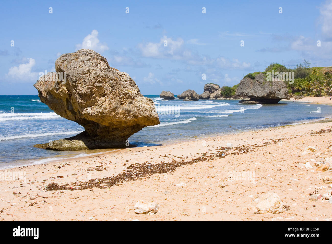 Beach scene at Bathsheba, Barbados Stock Photo - Alamy