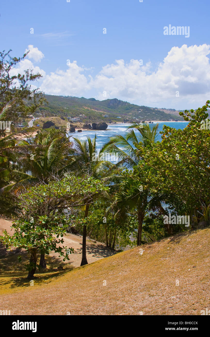 Caribbean barbados bathsheba hi-res stock photography and images - Alamy