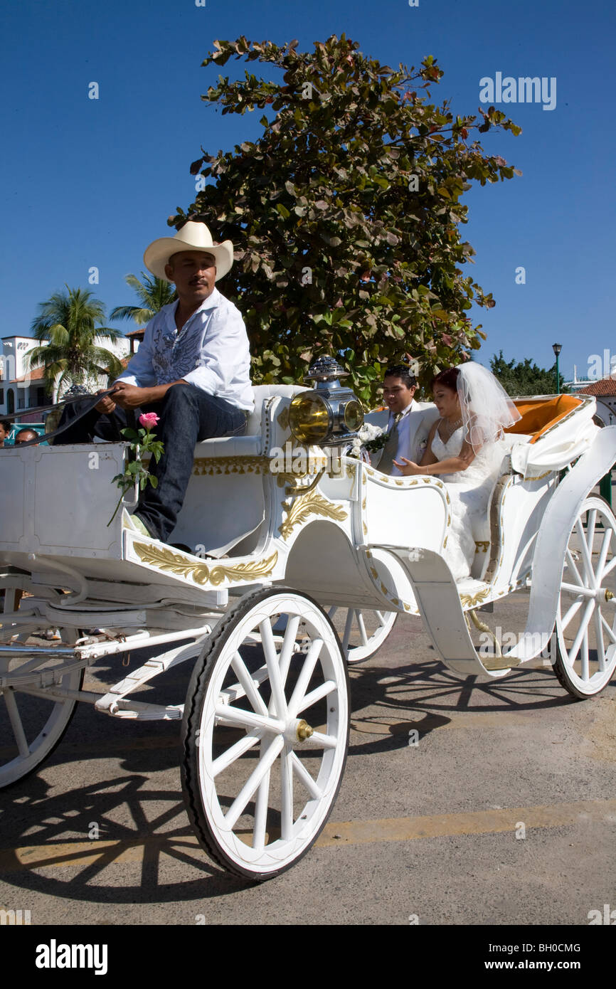 Wedding Horse Carriage