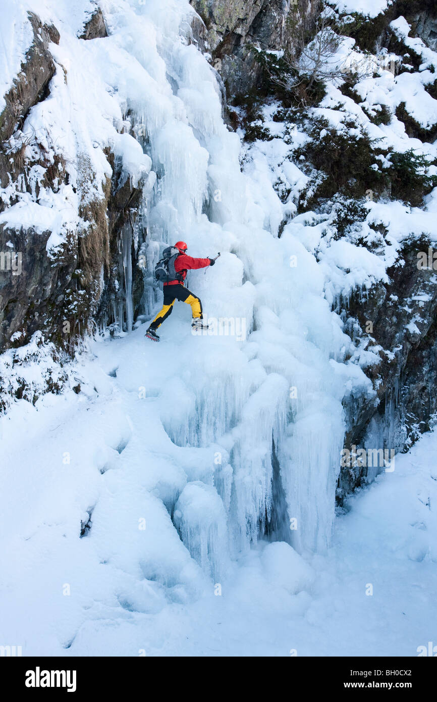 Mike withers hi-res stock photography and images - Alamy