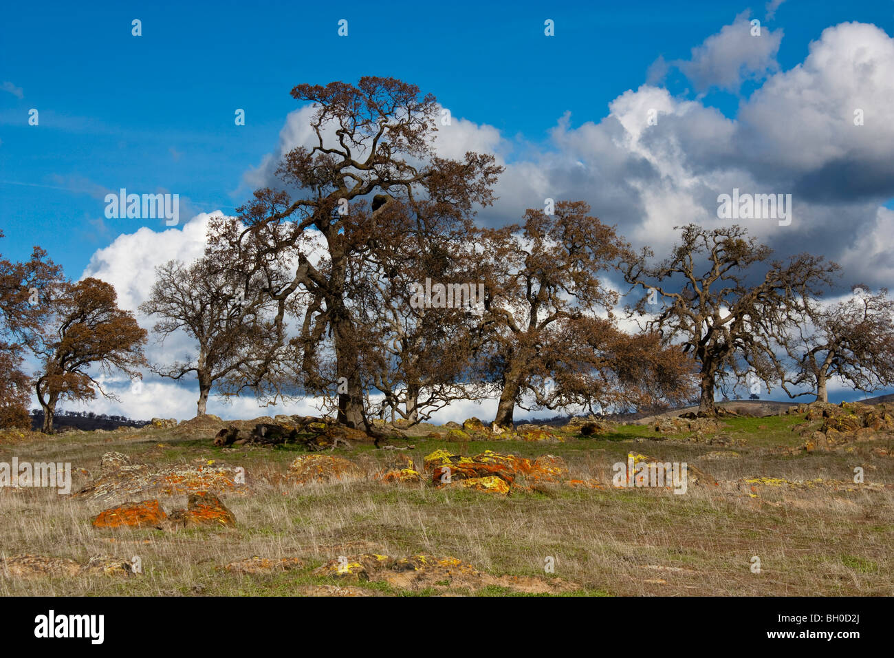 Rocks mountains foothills hi-res stock photography and images - Alamy
