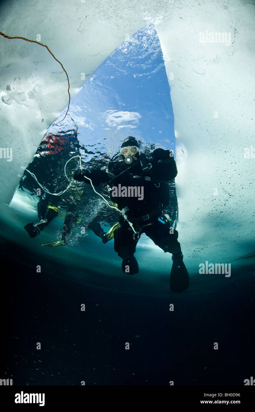Winter ice diving underwater in a quarry in Canada Stock Photo - Alamy