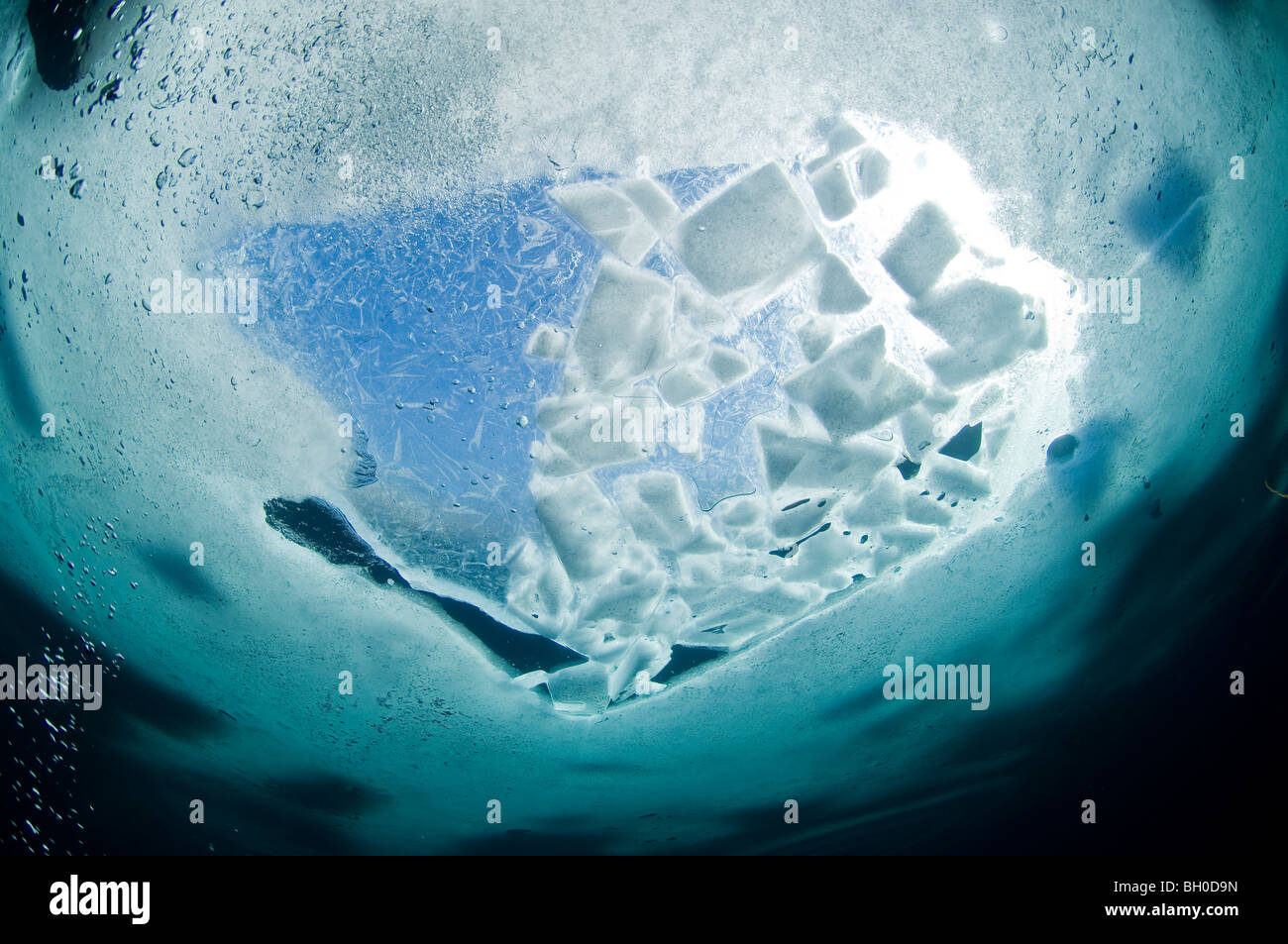 Winter ice diving underwater in a quarry in Canada Stock Photo - Alamy