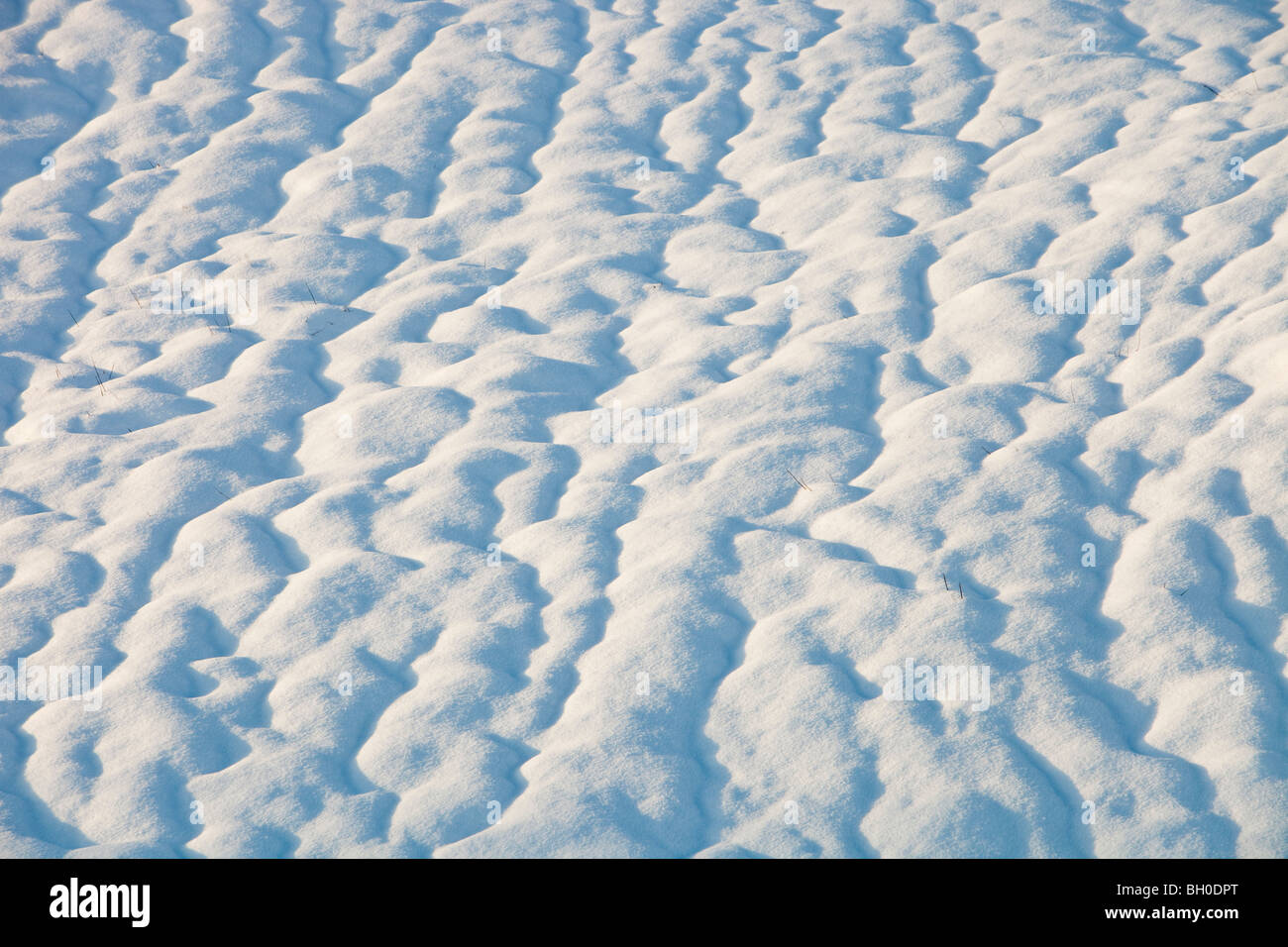 Artistic patterns in the snow hi-res stock photography and images - Alamy