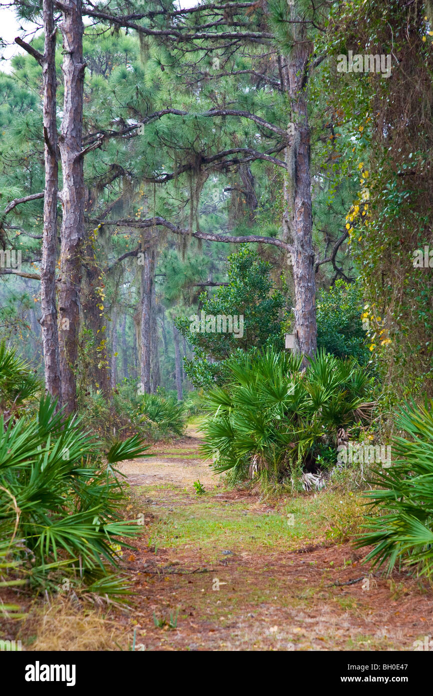 Lush green trail hi-res stock photography and images - Alamy