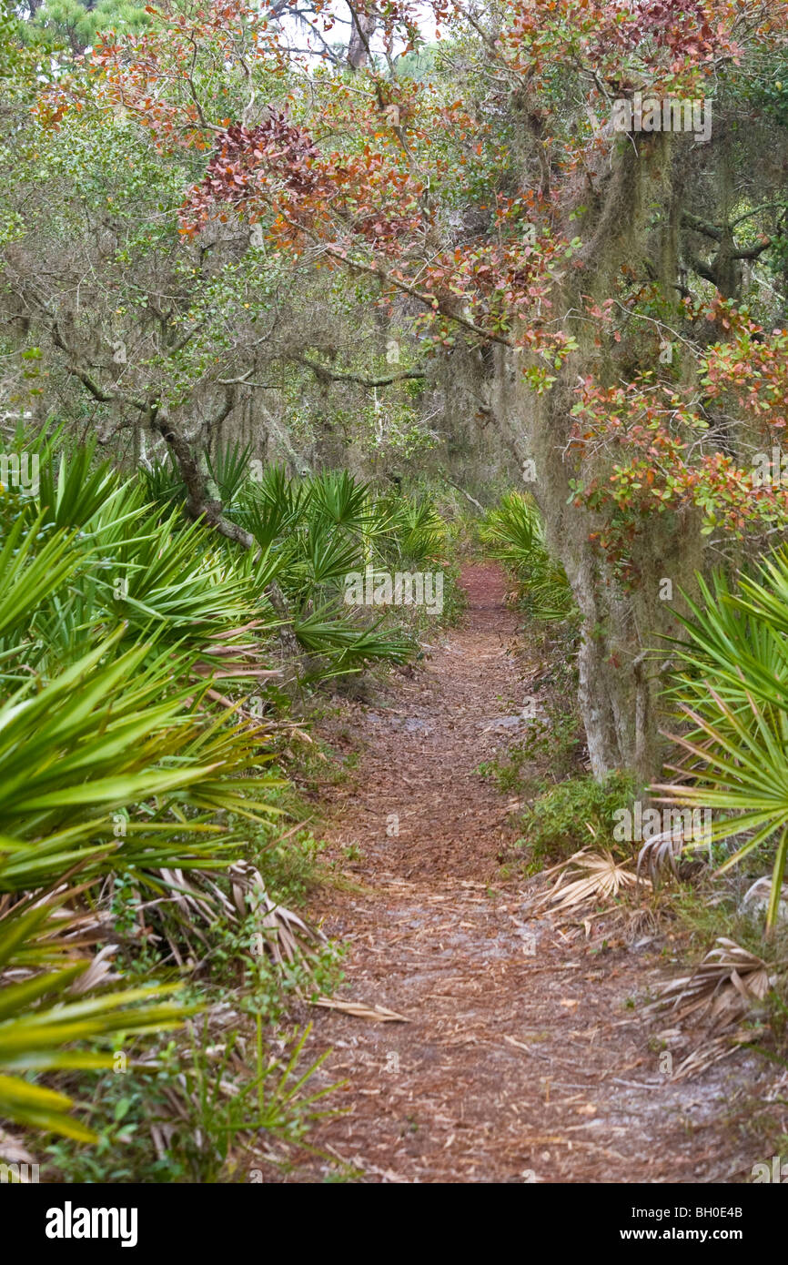 Walking trail in Cedar Point Environmental Park in Charlotte County ...