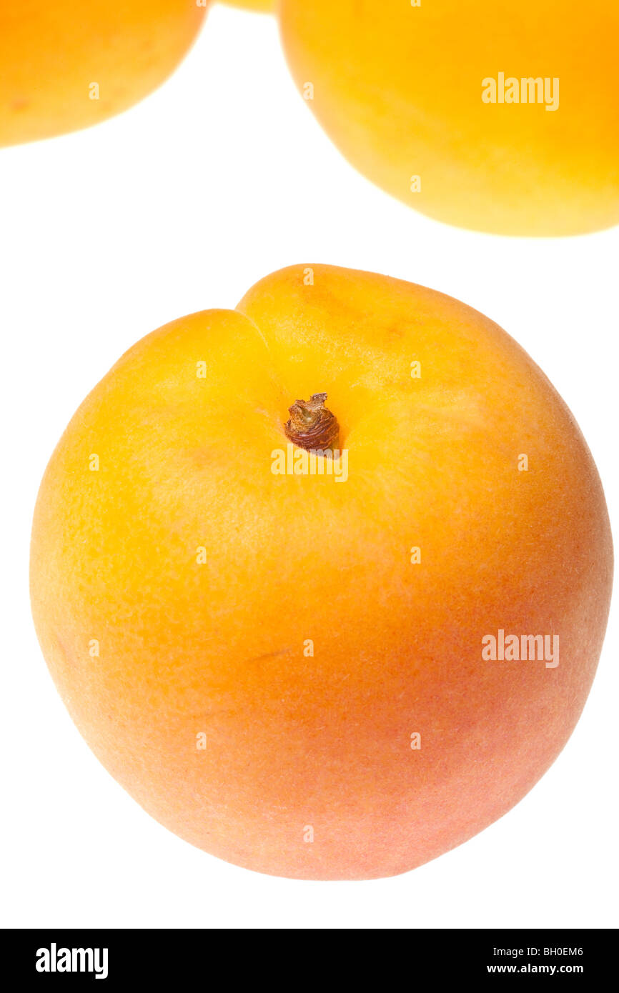 apricot isolated on a pure white background Stock Photo - Alamy