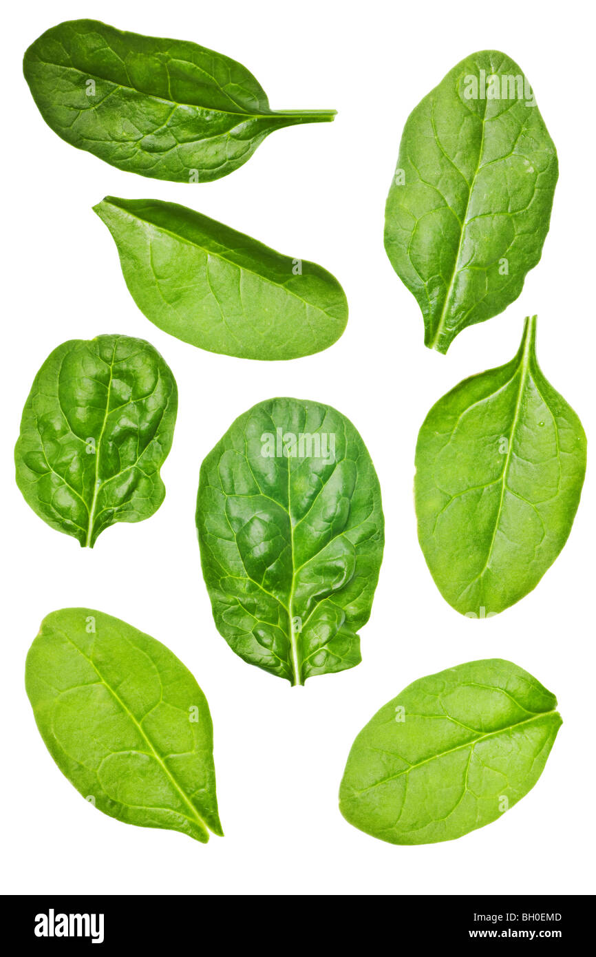 Spinach leaves hi-res stock photography and images - Alamy