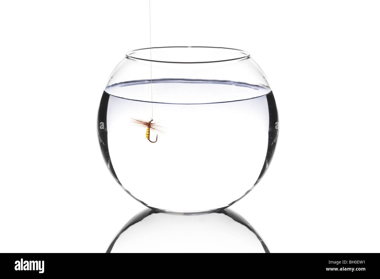 Empty Fish Tank With Water