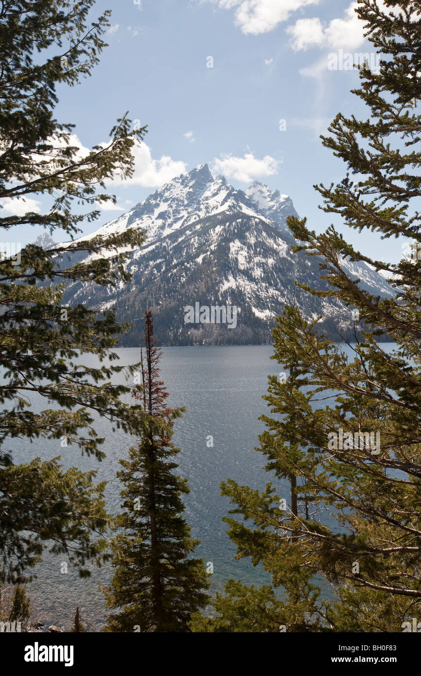 Jenny lake grand tetons hi-res stock photography and images - Alamy