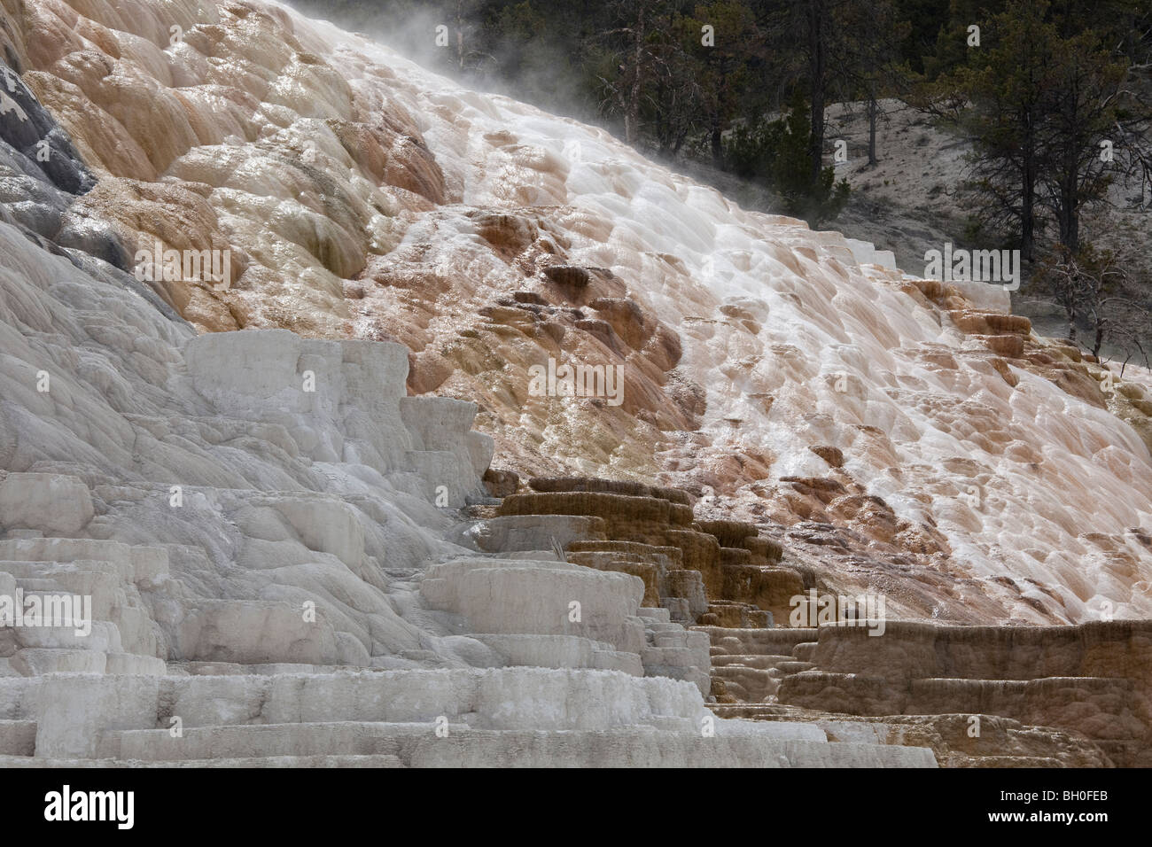 Terraced limestone at Mammoth Hot Springs, Yellowstone National Park ...