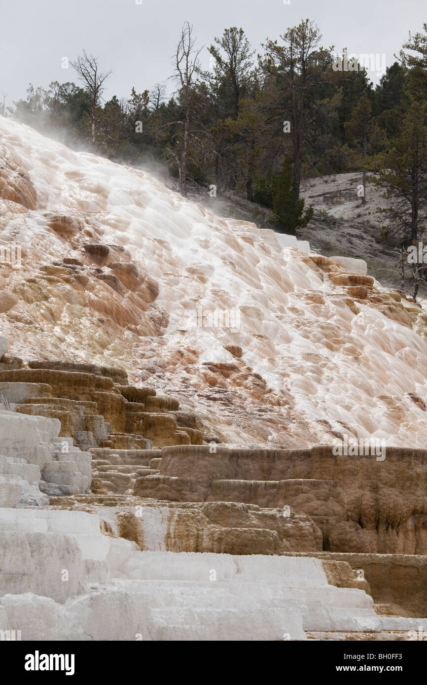 Terraced hot springs hi-res stock photography and images - Alamy