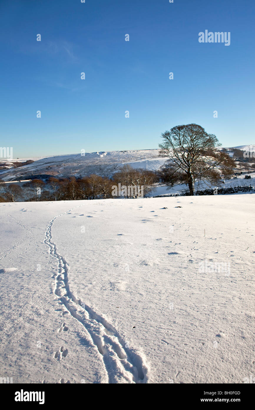 Strines hi-res stock photography and images - Alamy