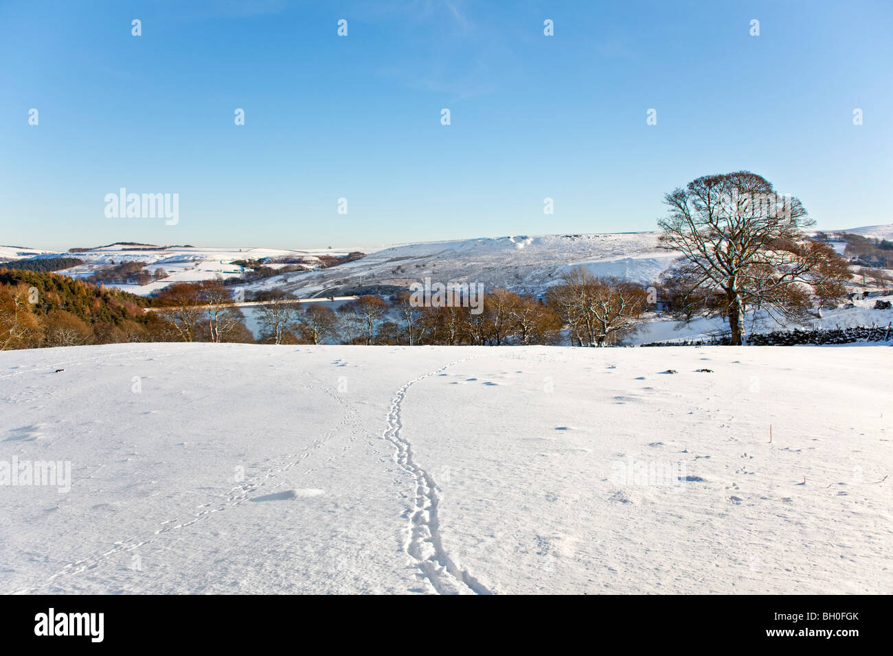 a winter landscape study Strines reservoir Sheffield South Yorkshire ...