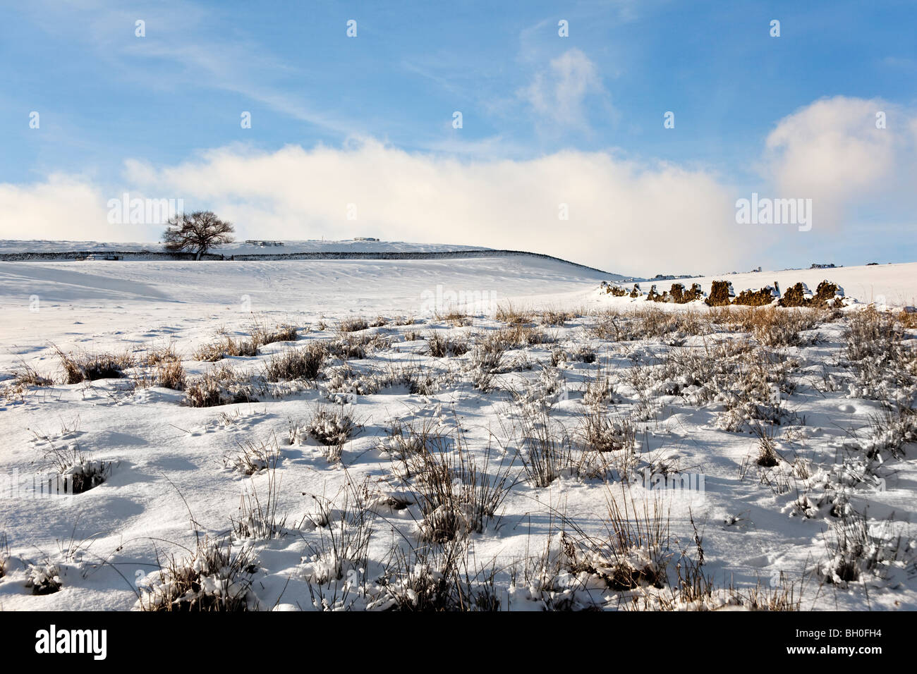 Strines hi-res stock photography and images - Alamy
