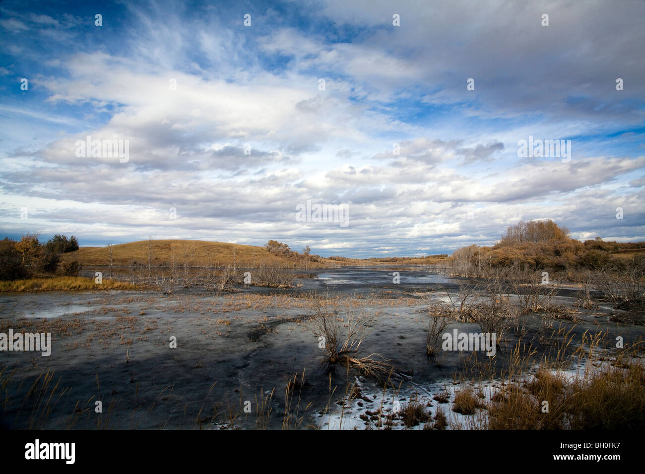 Small pond n the Alberta foothills Stock Photo - Alamy