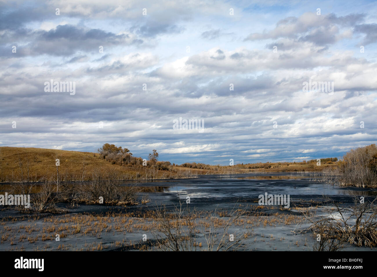 Small pond n the Alberta foothills Stock Photo - Alamy