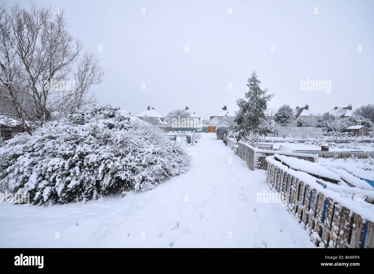 Gardens covered in snow (winter in UK Stock Photo - Alamy