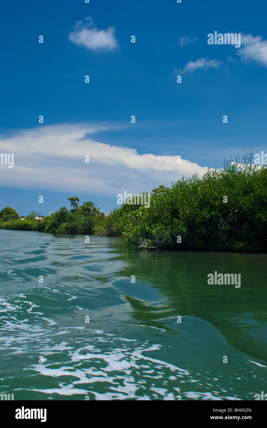 Cancun Lagoon Landscape Stock Photo - Alamy