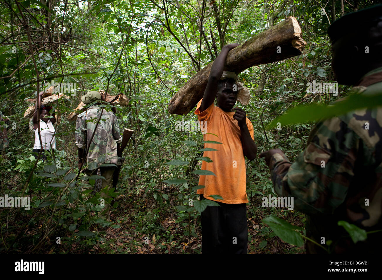 Poaching patrol hi-res stock photography and images - Alamy
