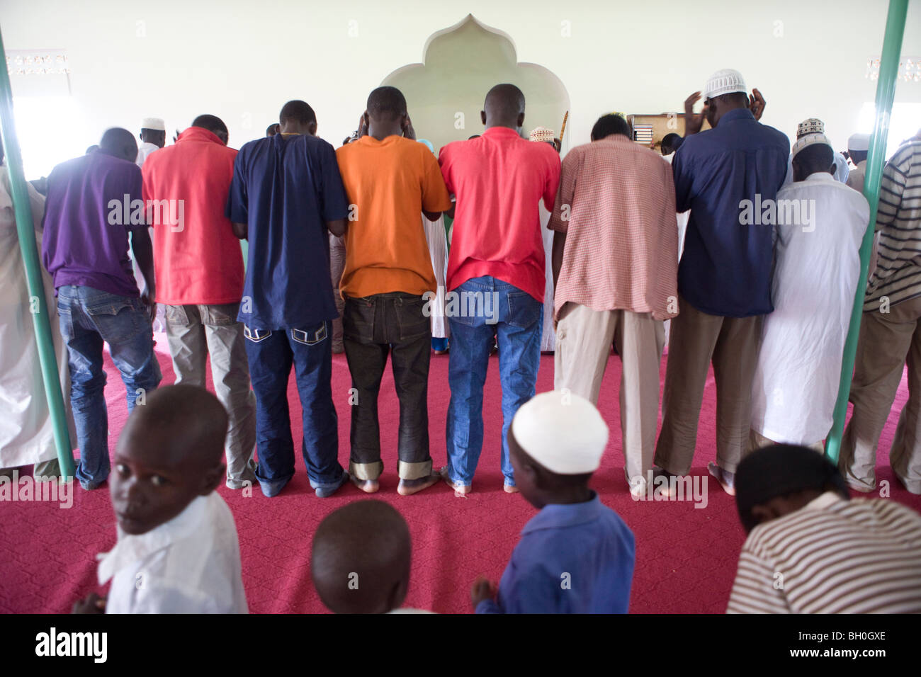 Amuria hi-res stock photography and images - Alamy