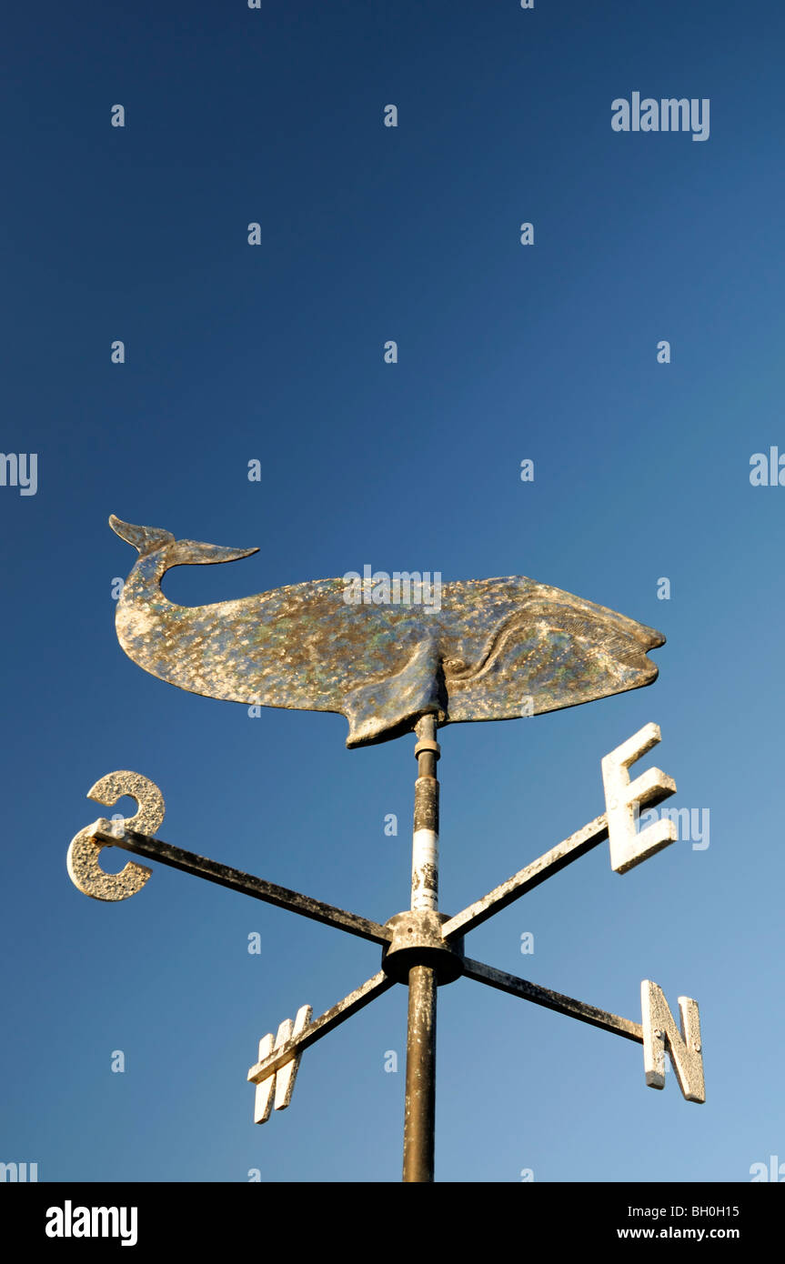 ornamental weather vane made of copper in shape of a southern right ...