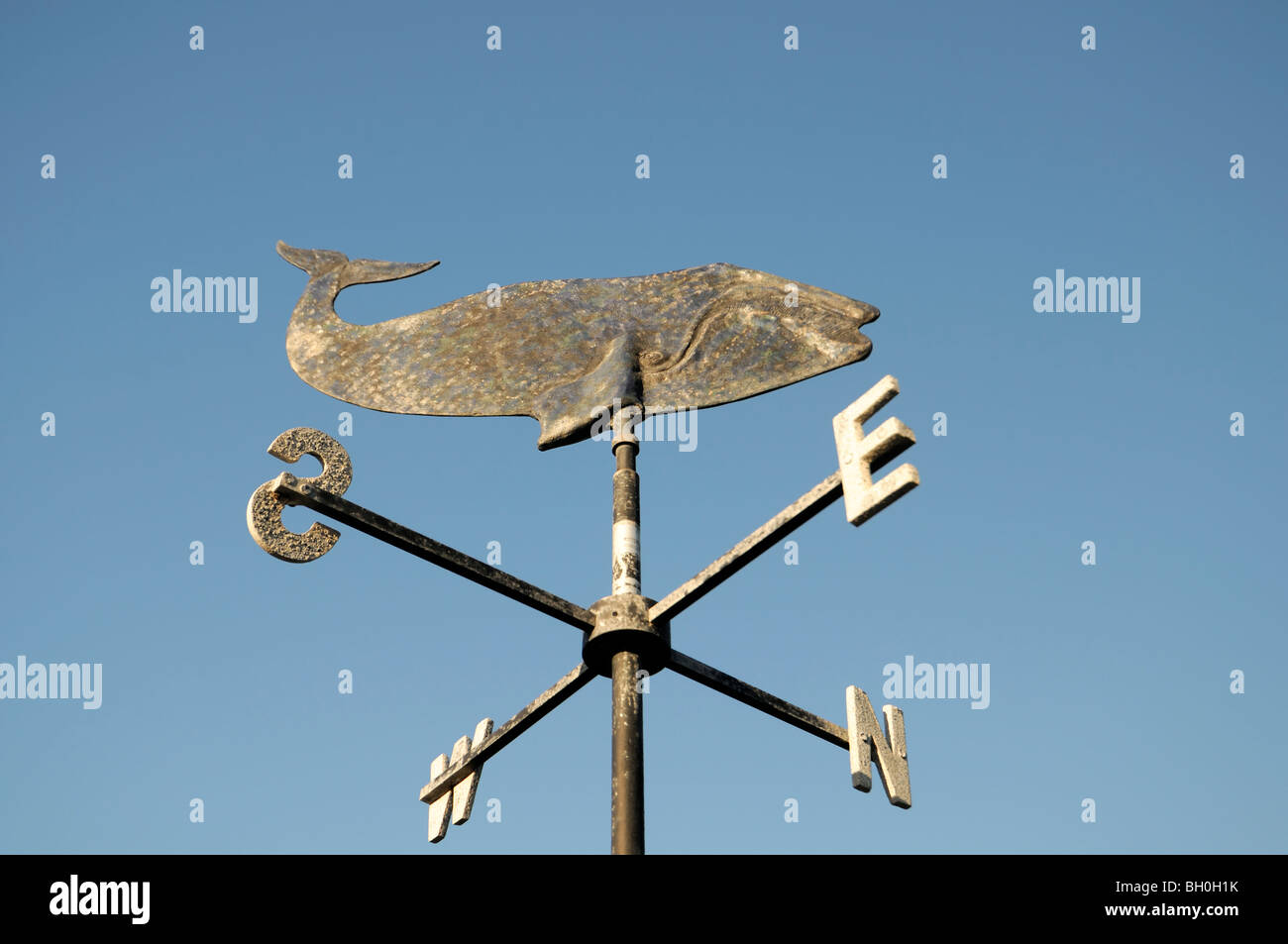 Copper Whale Stock Photos & Copper Whale Stock Images - Alamy