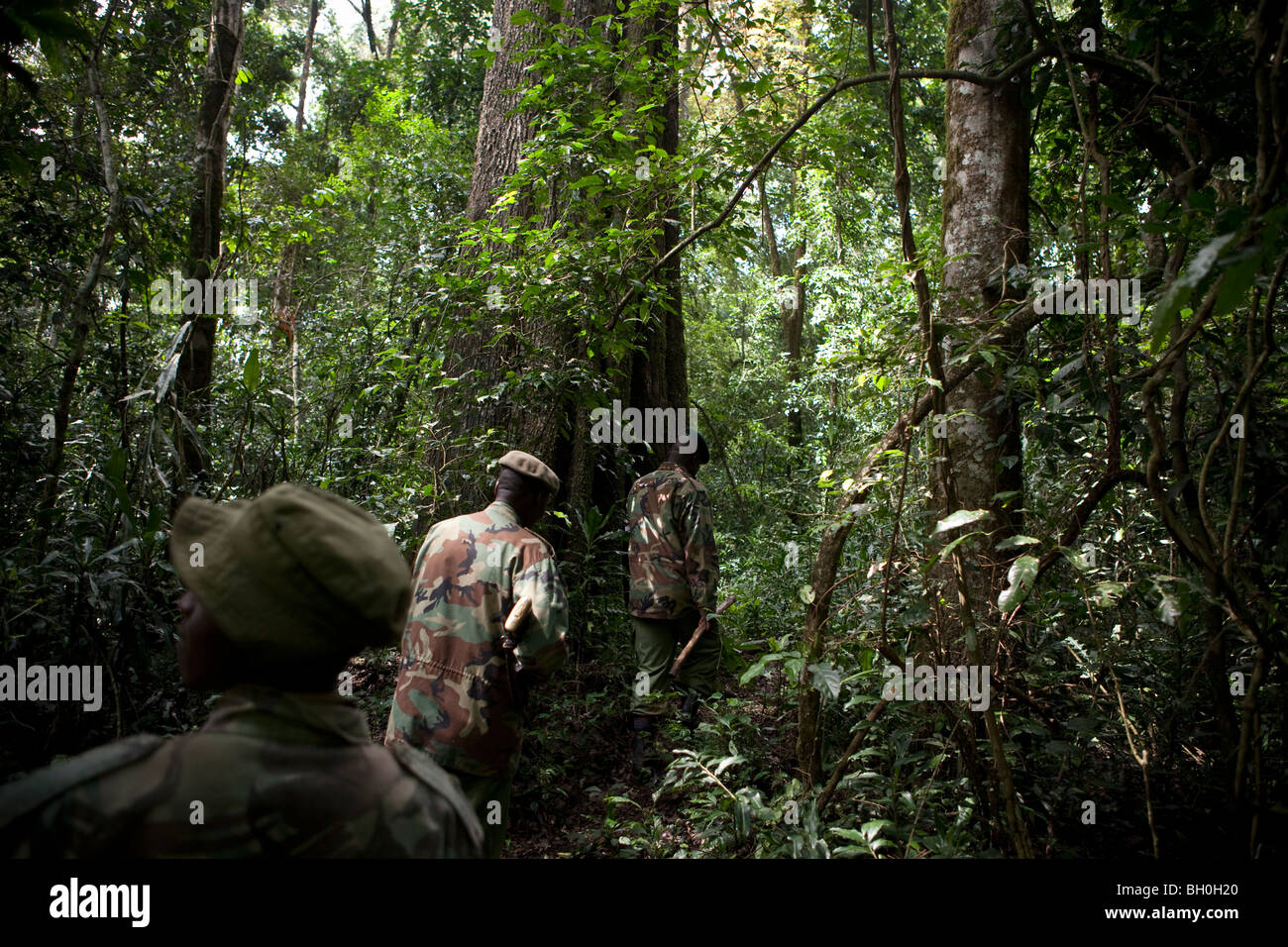 Kenya military forest hi-res stock photography and images - Alamy