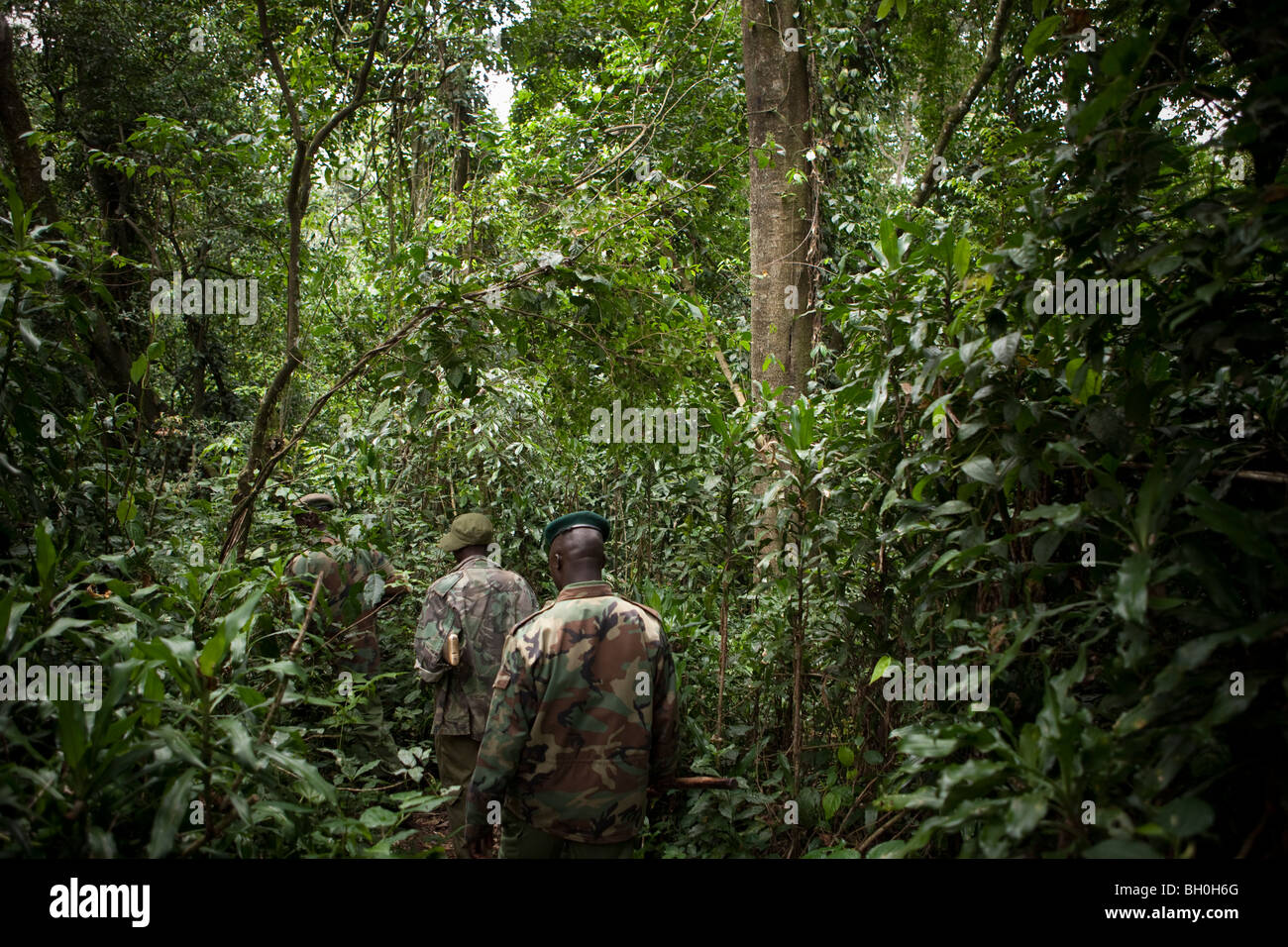 Conservation ranger africa hi-res stock photography and images - Alamy