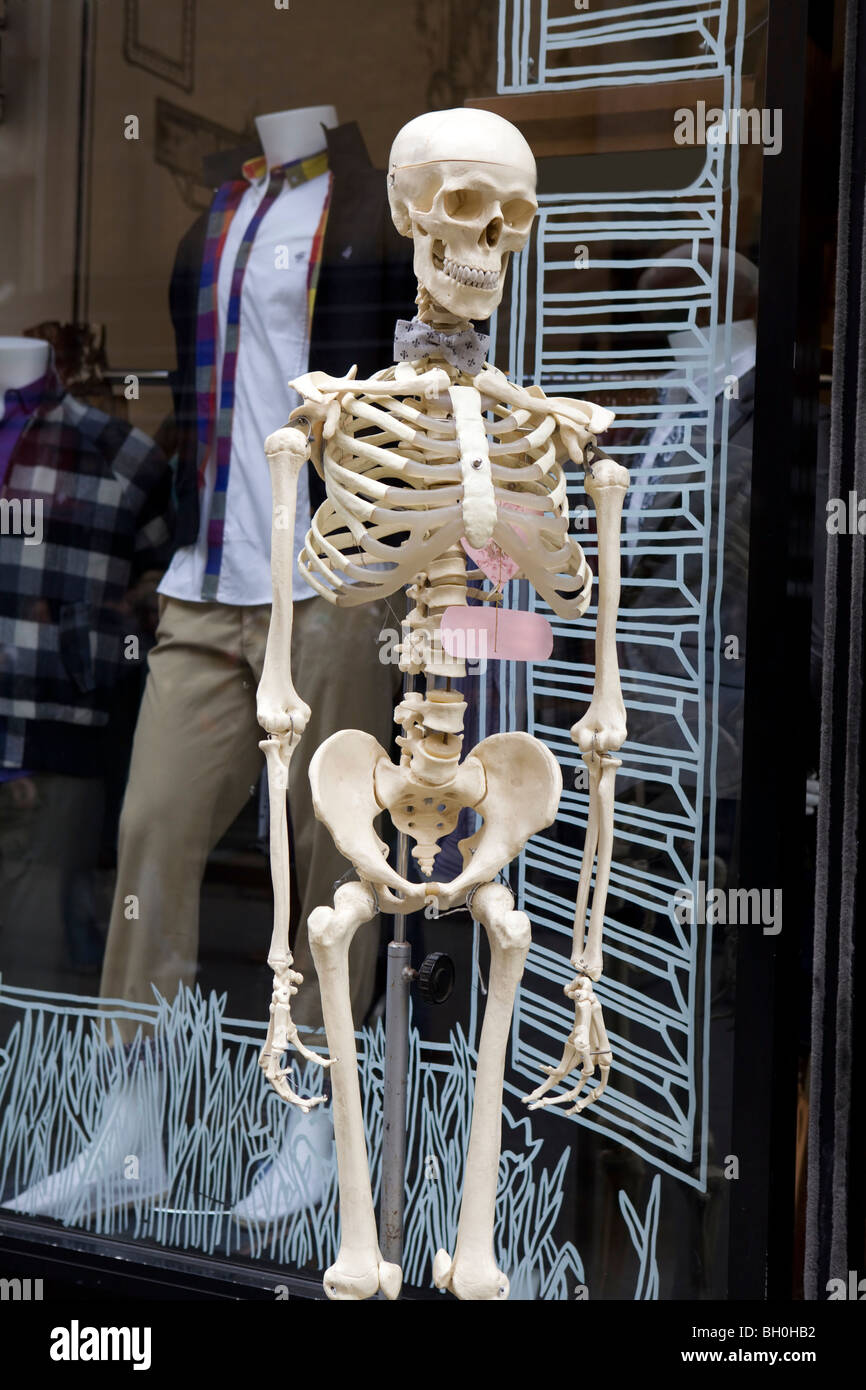 Skeleton straw hi-res stock photography and images - Alamy