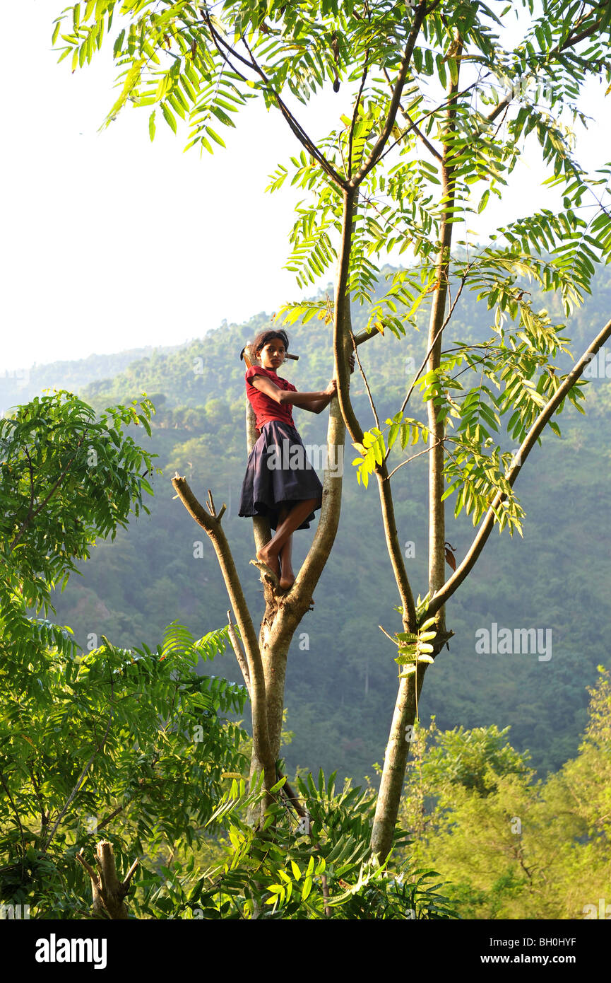 Asia, Nepal, young girl climbs tree Stock Photo - Alamy
