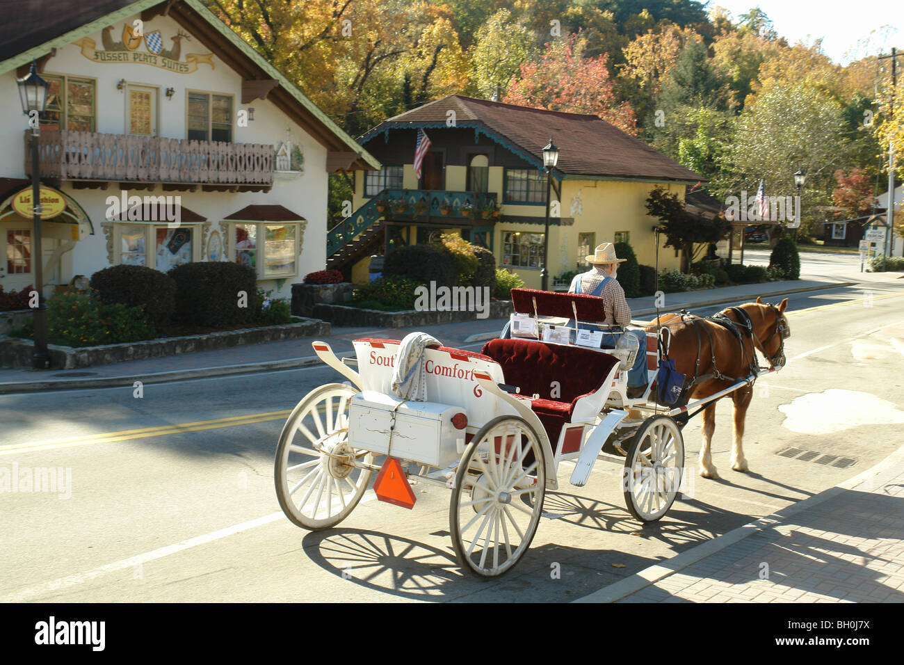 Helen georgia carriage horse hi-res stock photography and images - Alamy