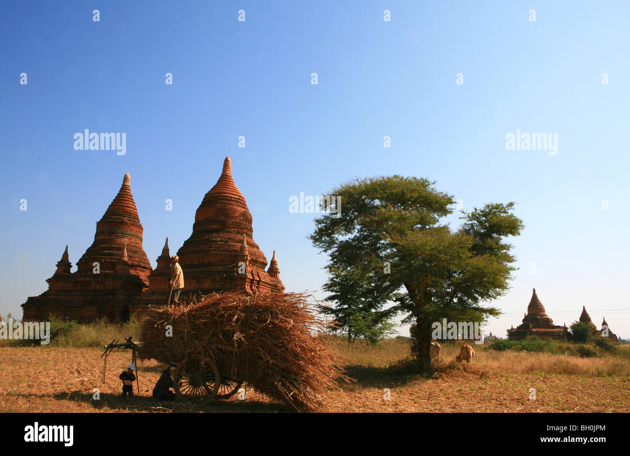 Peasant family in front of a temple under blue sky, Bagan, Myanmar ...