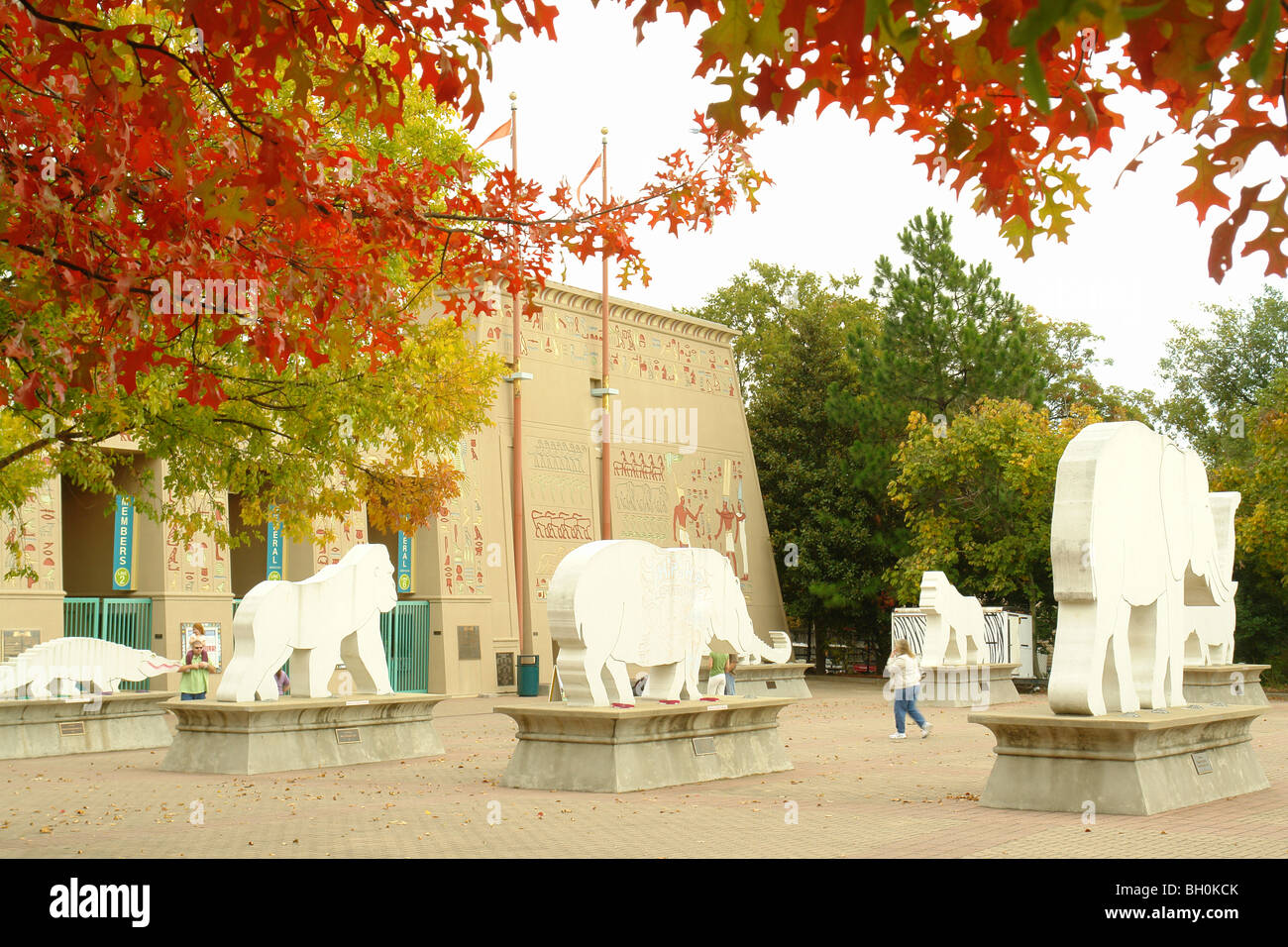 Memphis zoo hi-res stock photography and images - Alamy