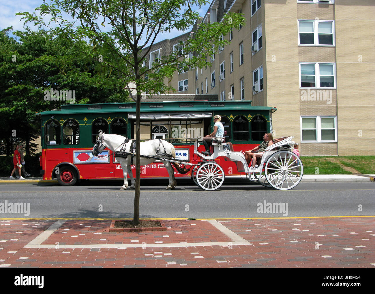 Beach Tourist Carriage Rides Stock Photo - Alamy