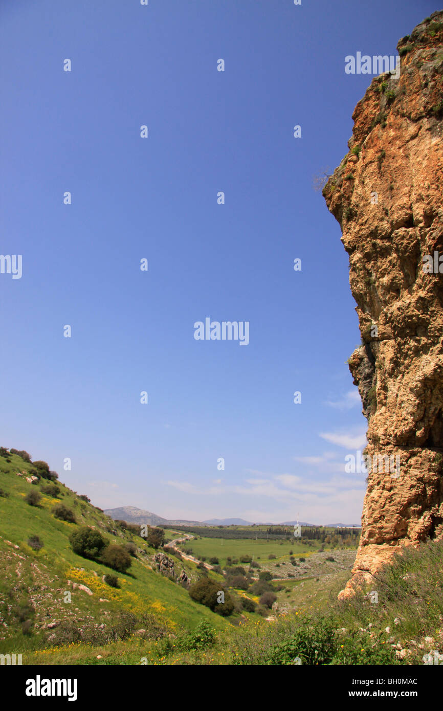 Amud skull hi-res stock photography and images - Alamy