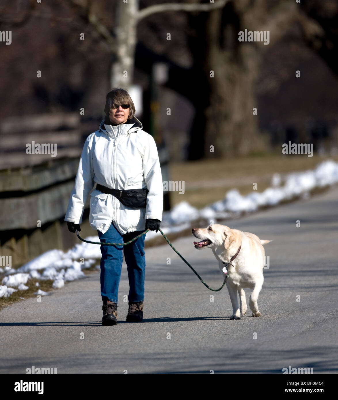 Lady Walking Dog High Resolution Stock Photography and Images - Alamy