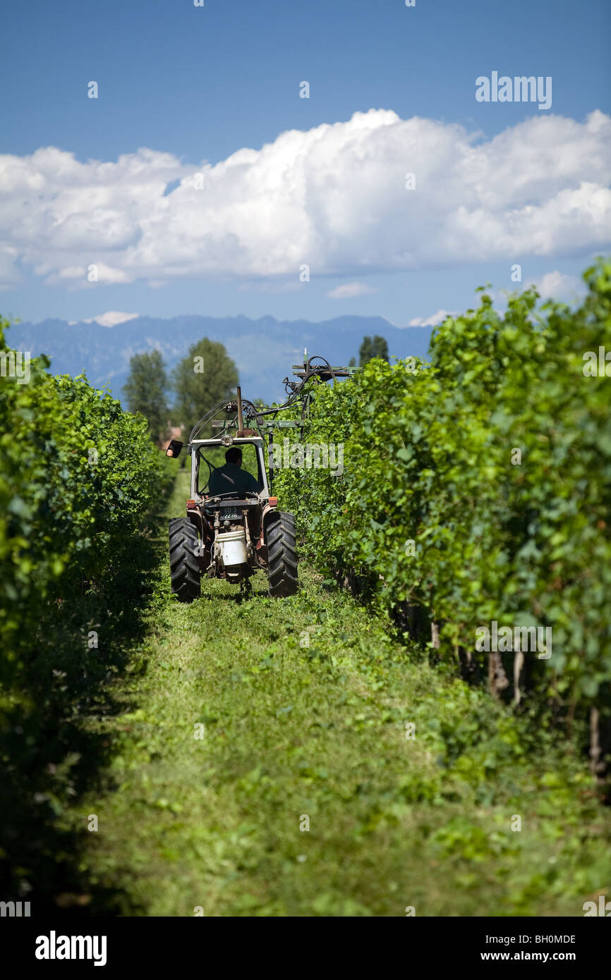 Ractor hi-res stock photography and images - Alamy