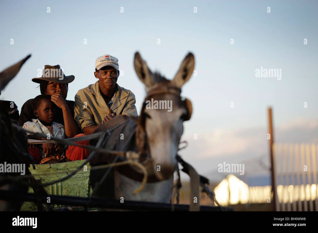 Driving donkey cart hi-res stock photography and images - Alamy