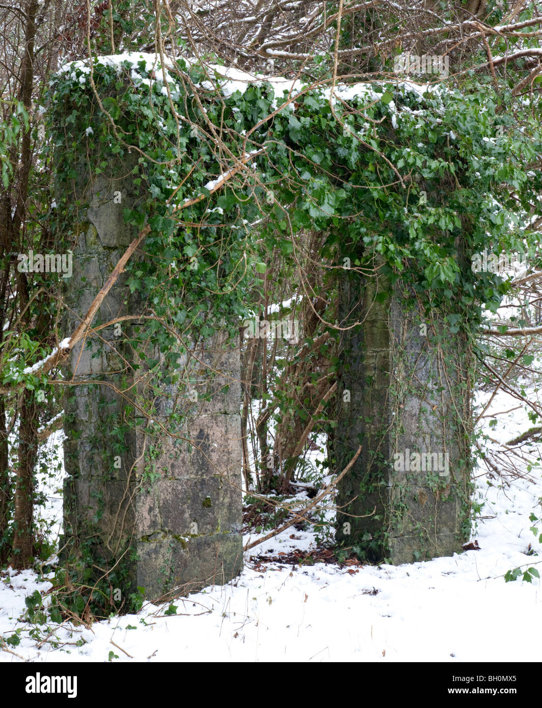 Barren winter woodland hi-res stock photography and images - Alamy