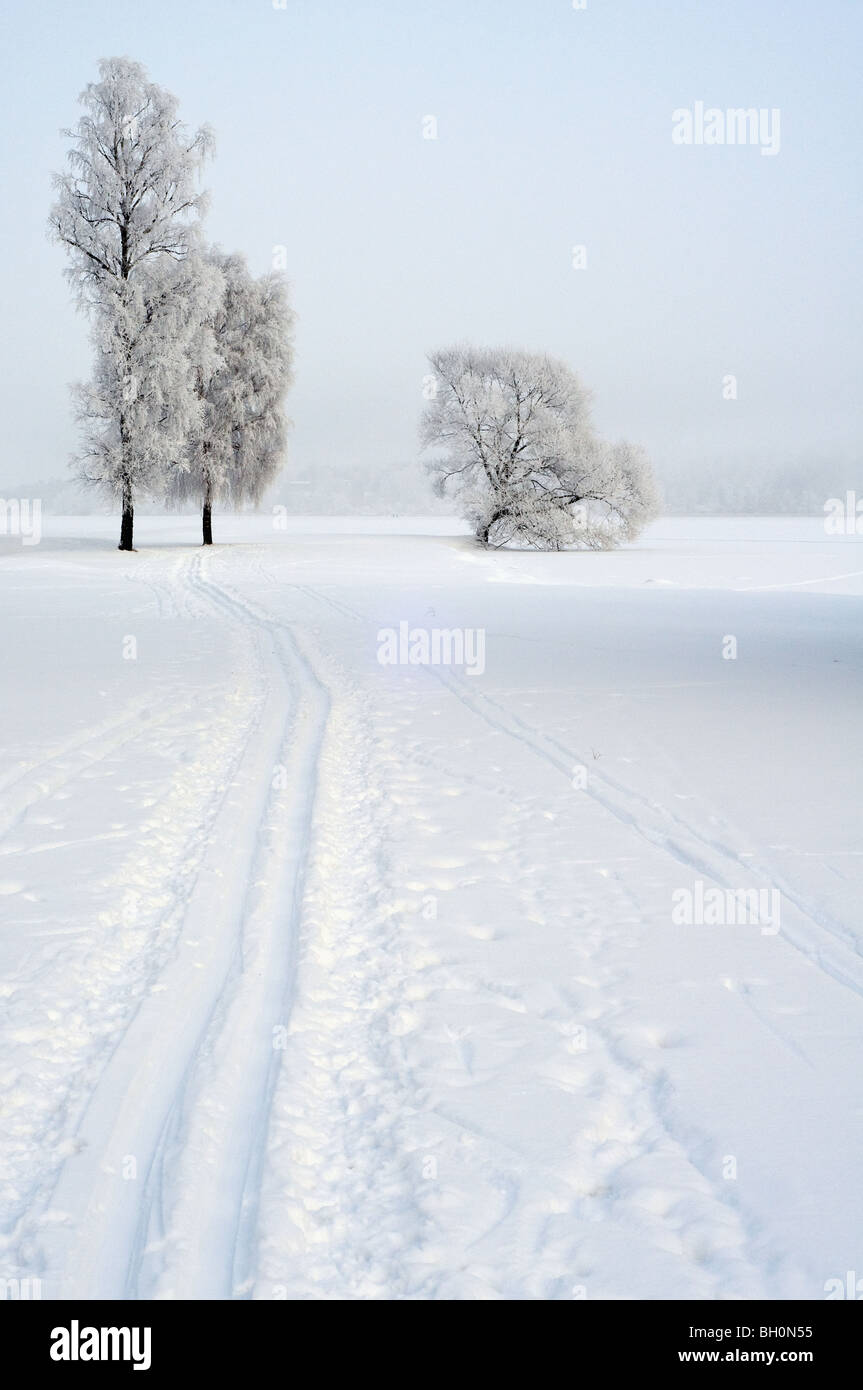 Frosty trees in winter hi-res stock photography and images - Alamy