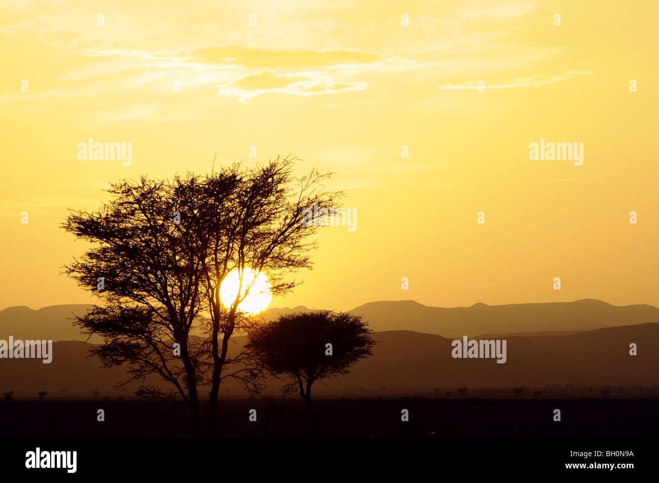 Idyllic scenery at sunset, Draa valley, South Morocco, Morocco, Africa ...
