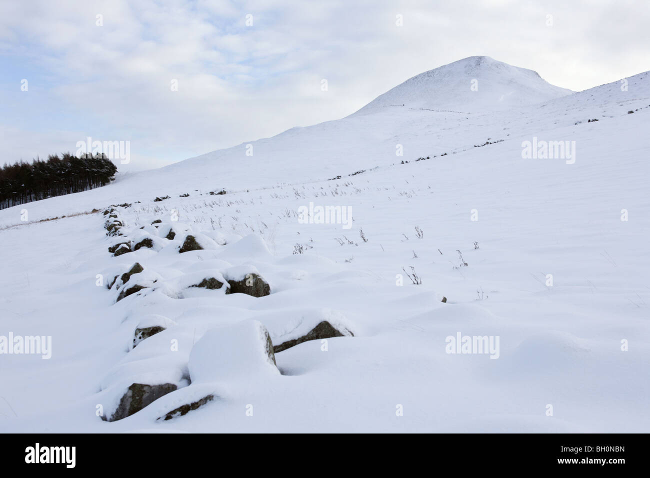 East lomond hi-res stock photography and images - Alamy