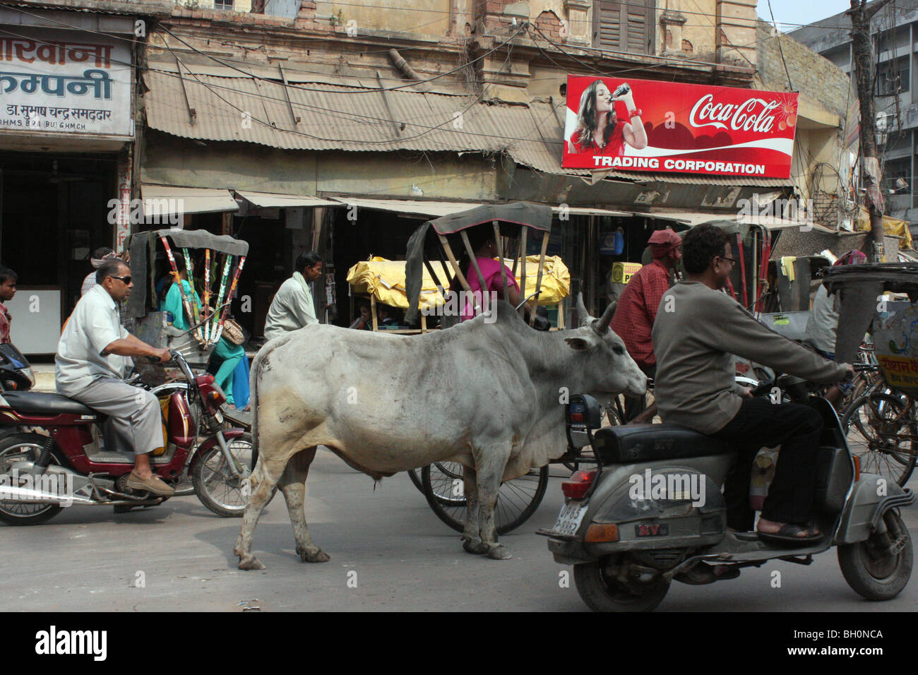 chaotic traffic scene in varanasi india Stock Photo - Alamy