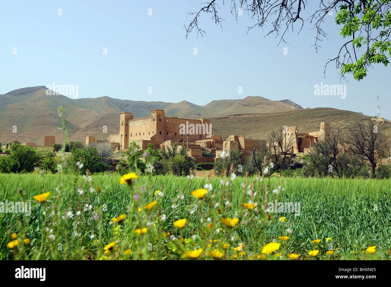 Morocco at taliouine hi-res stock photography and images - Alamy