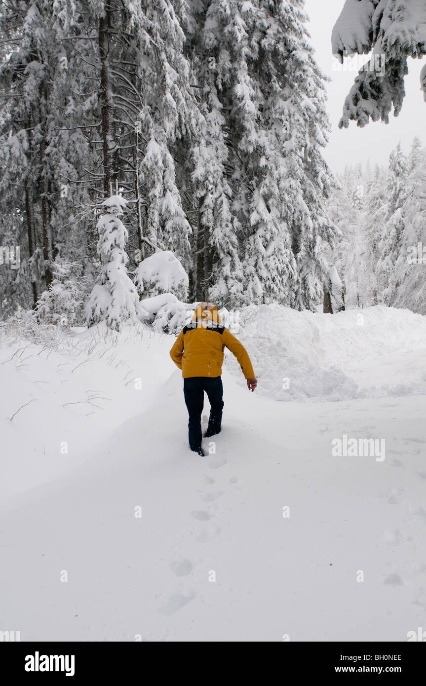 Man walking in deep snow in the Cevennes National Park, Gard, Southern ...