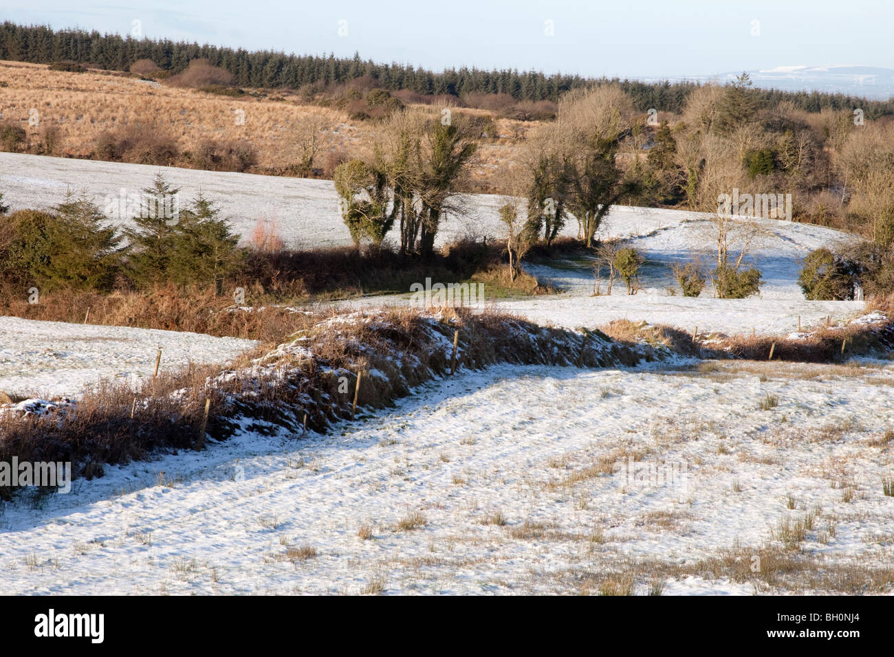 Irish fields frost hi-res stock photography and images - Alamy