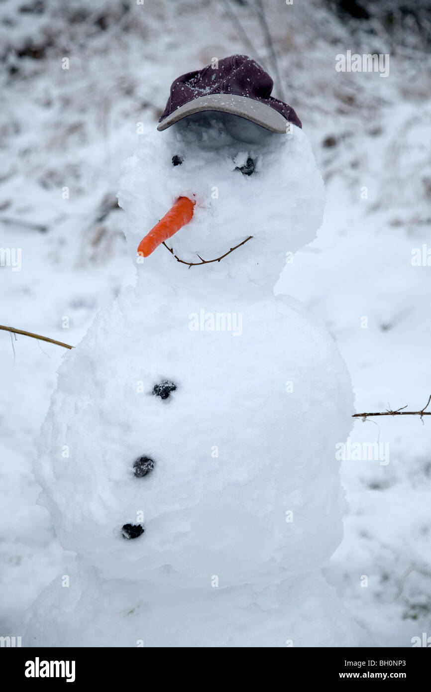 Snowman, County Limerick Ireland Stock Photo - Alamy
