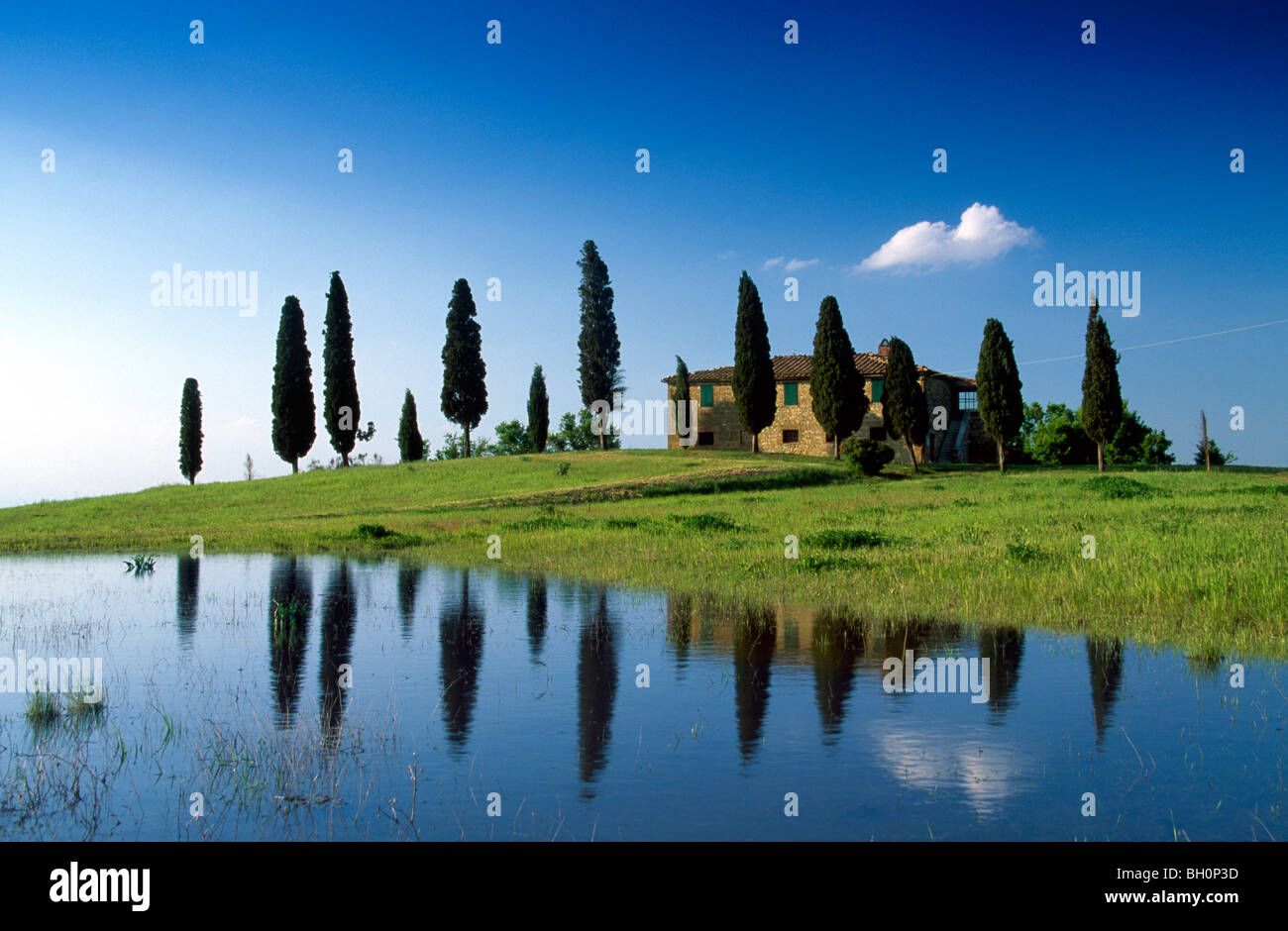 Afloated meadow and country house with cypresses, Val d'Orcia, Tuscany ...