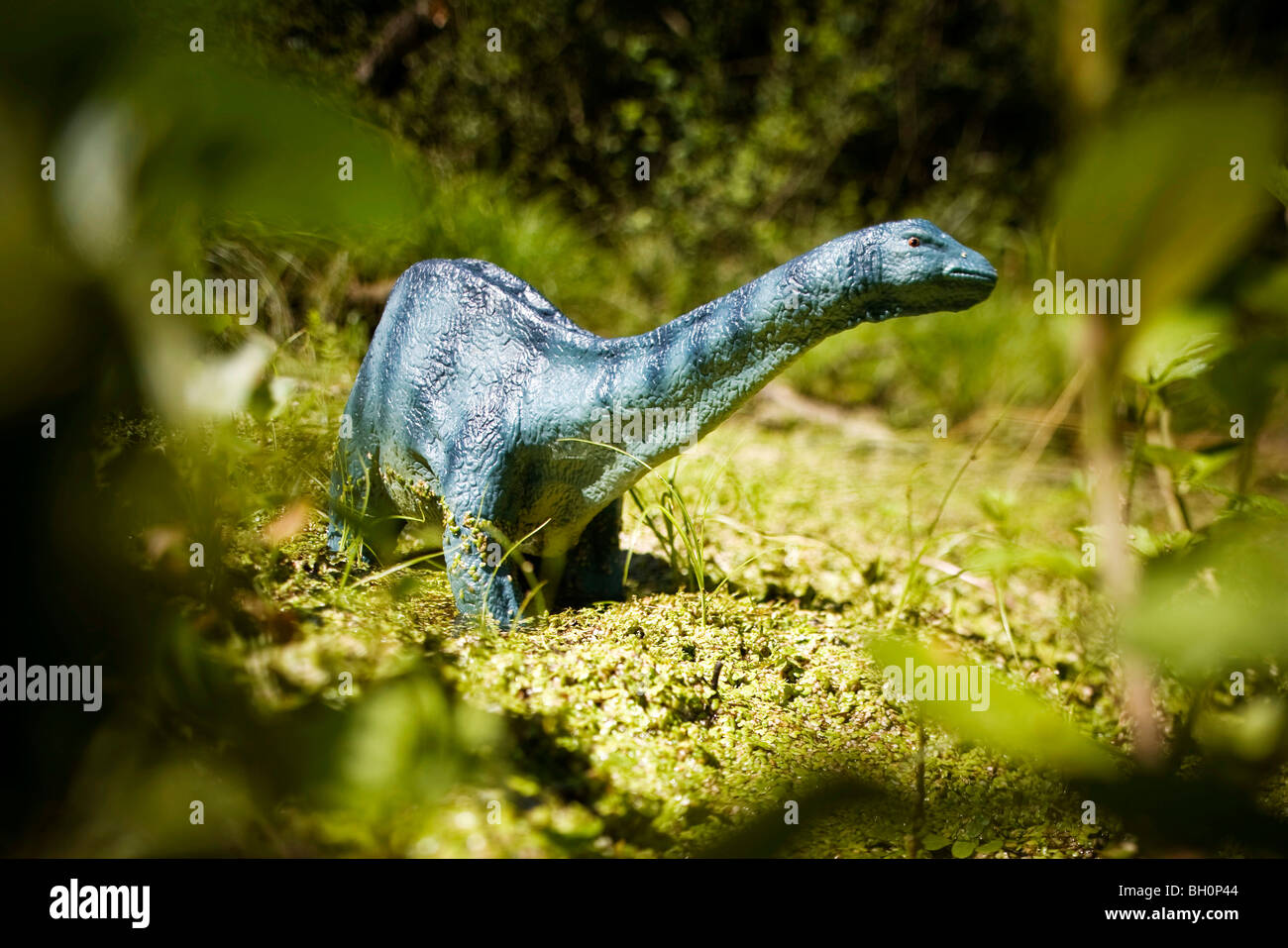 Apatosaurus hi-res stock photography and images - Alamy